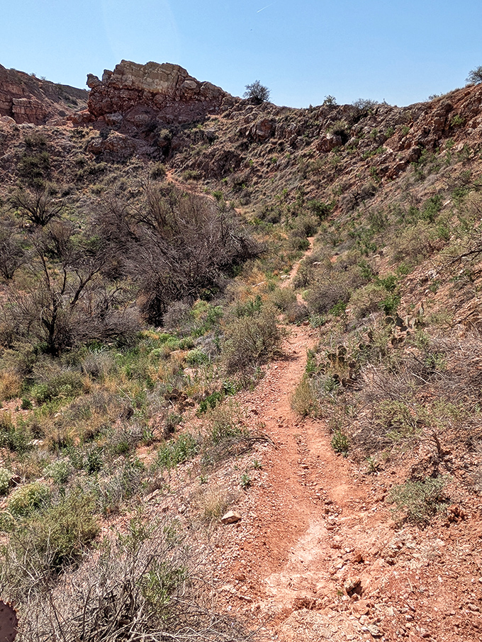This trail promises adventure with every step. Just remember, what goes down a desert canyon must eventually climb back up.