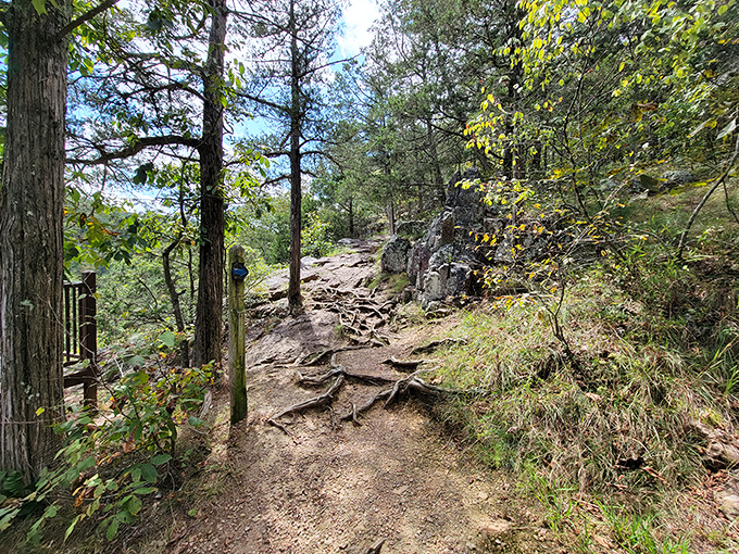 Trails that challenge your legs but reward your soul &ndash; the best kind of trade-off nature offers.