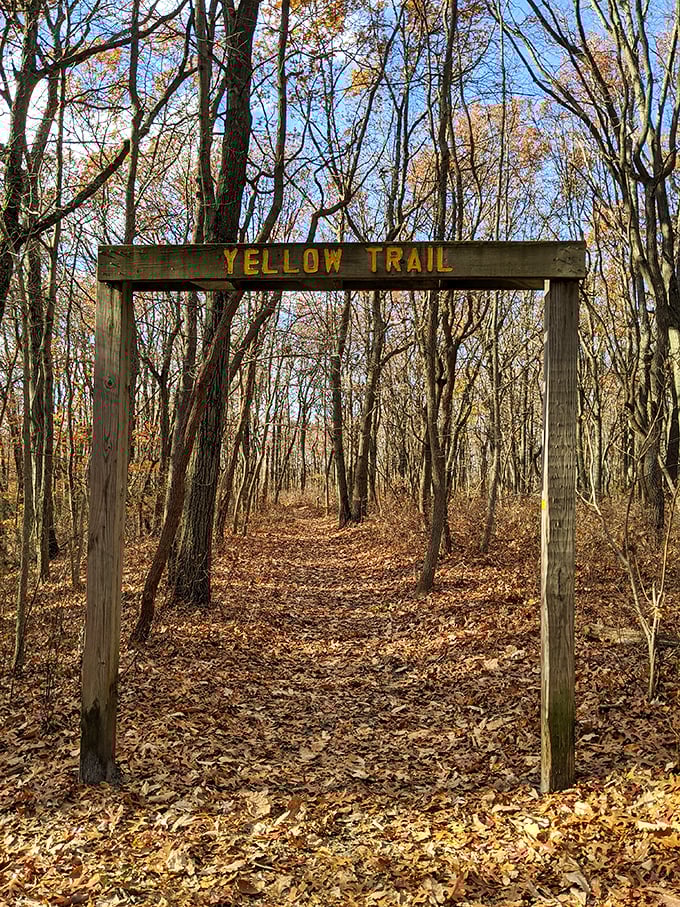 The Yellow Trail entrance stands like a humble gateway to adventure, proving sometimes the best journeys begin with the simplest invitations.