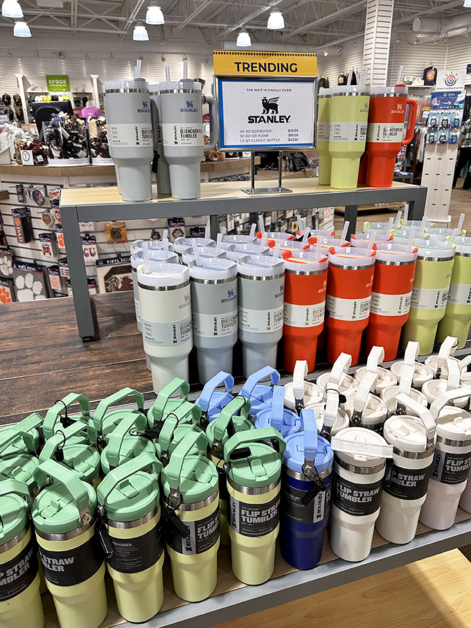 Stanley tumblers in every color imaginable&mdash;the modern status symbol that says "I'm hydrated, environmentally conscious, and possibly too invested in drinkware."