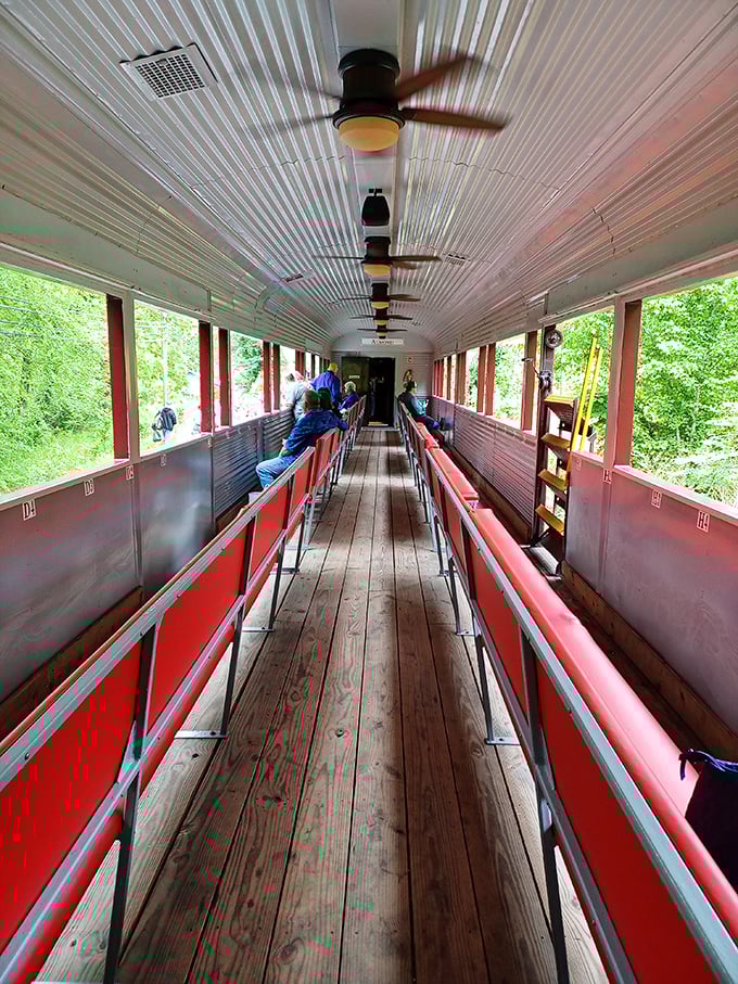 Open-air cars let you experience mountain breezes while contemplating why convertibles never quite captured this same magic.