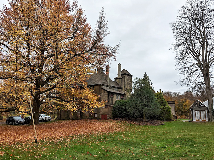 Fall foliage creates the perfect backdrop for Fonthill's imposing silhouette. Even the trees dress up for this architectural celebrity.