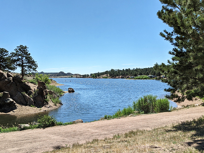 The reservoir's fingers reach into hidden coves where the fish think they're safe &ndash; spoiler alert: they're not.