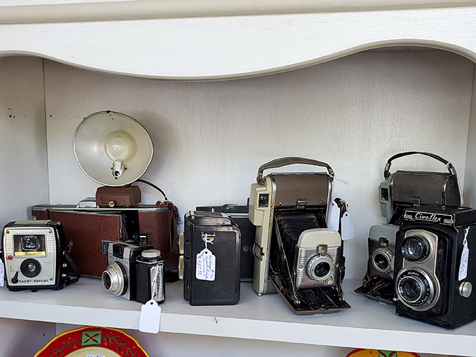 These aren't just old cameras&mdash;they're mechanical time machines that once captured someone's wedding, graduation, or first steps.