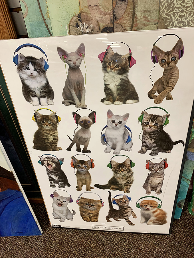 Sixteen kittens with headphones stare into your soul, silently judging your music taste. This wall art screams "cat lady chic" in the most delightful way.