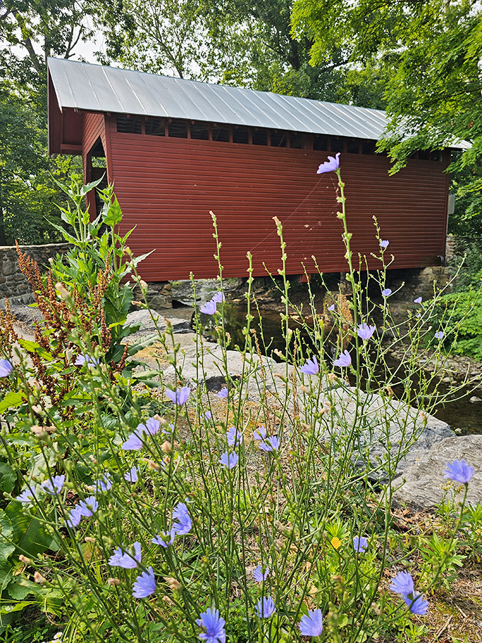 Spring blooms frame the bridge beautifully, proving that every season brings its own special charm to this spot.