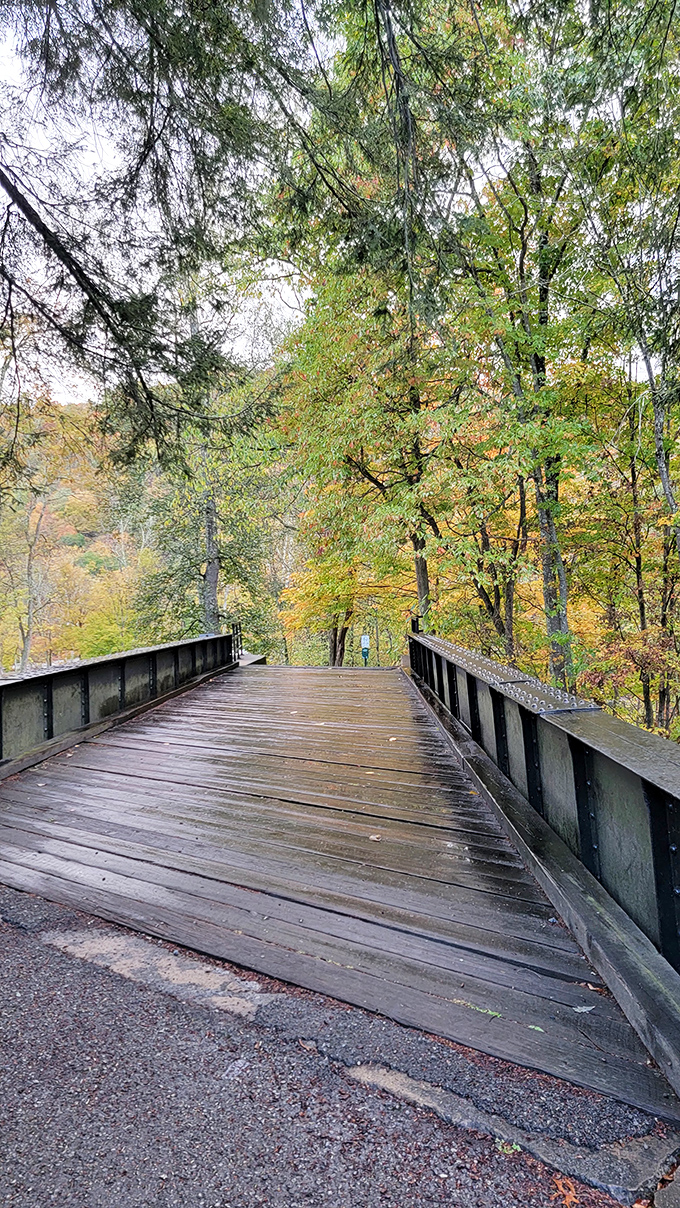 Autumn transforms this wooden bridge into a gateway to wonderland, where every step forward is accompanied by nature's confetti underfoot.
