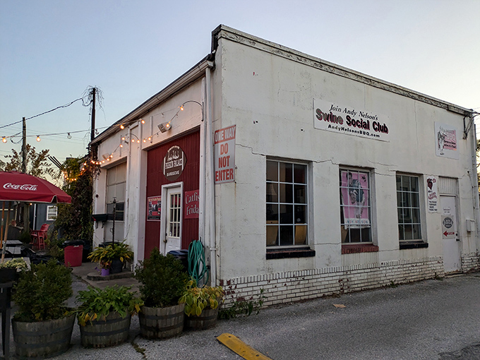 Andy Nelson's white building with red trim looks like it was plucked straight from barbecue history books.