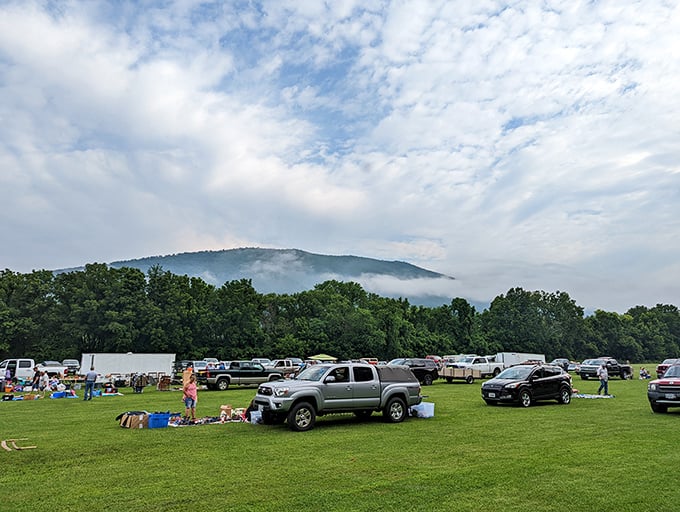 Mountain majesty meets market madness - Buchanan's outdoor flea offers views and values in equal measure.
