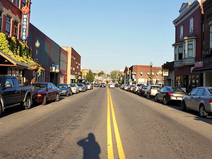 Buckhannon's brick buildings stand like sentinels of small-town charm, housing businesses where the owners still remember your name and your order.