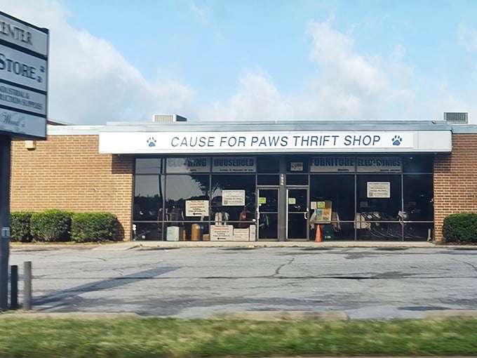 "Cause for Paws" combines two great things: bargain hunting and helping animals. Shopping that makes your heart and wallet happy!