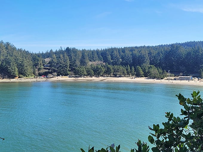 Coos Bay's pristine beaches provide perfect spots for beachcombing, with crystal clear waters and forested shorelines.