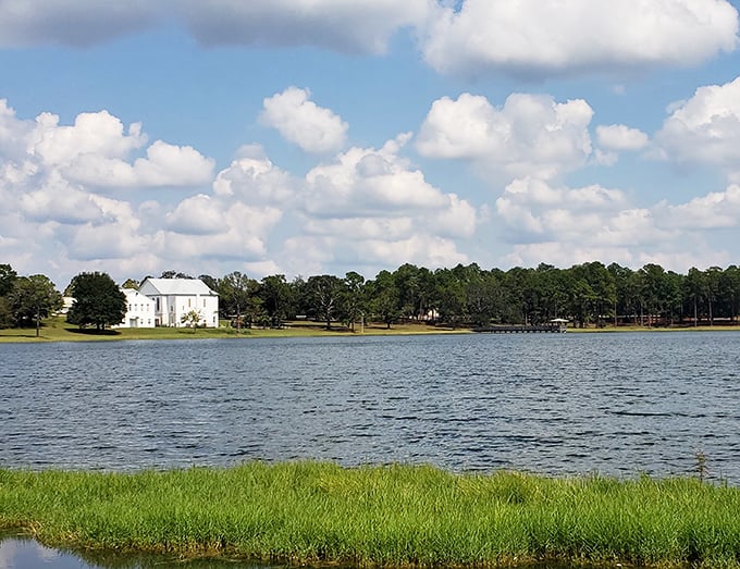 DeFuniak Springs' lakeside park offers tranquil views that cost nothing but time. Those tall pines frame the scene perfectly.