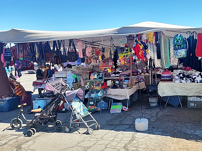 Northern Nevada's treasure hunting scene proves that great finds and friendly faces exist everywhere throughout the Silver State.