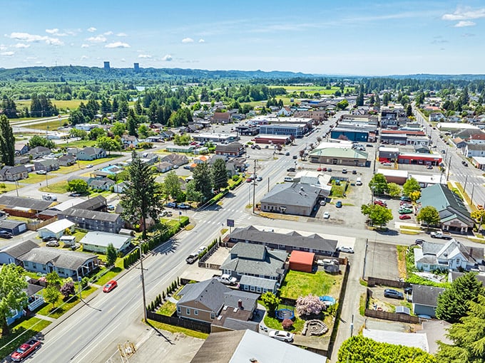 Elma's patchwork of homes and impossibly green trees! Those distant towers remind you civilization isn't far.