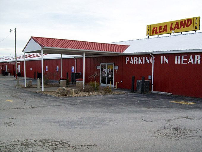 Seasonal decorations frame the entrance, suggesting this place celebrates bargain hunting like others celebrate holidays.
