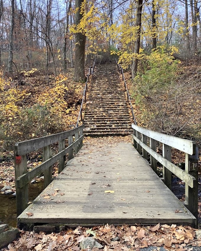 Hacklebarney's wooden bridge crosses rushing waters that carve beauty from solid rock with endless patience.