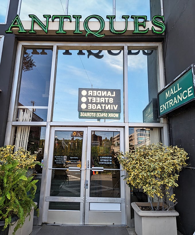 Lander Street Vintage's sleek entrance feels more art gallery than junk shop. This is where hipsters and grandparents shop side by side!
