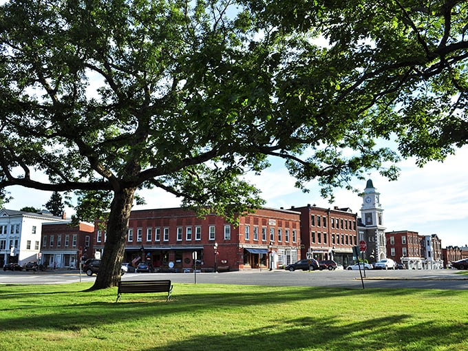 Litchfield's town green features a majestic shade tree, historic brick buildings, and a classic white church steeple against a blue sky.
