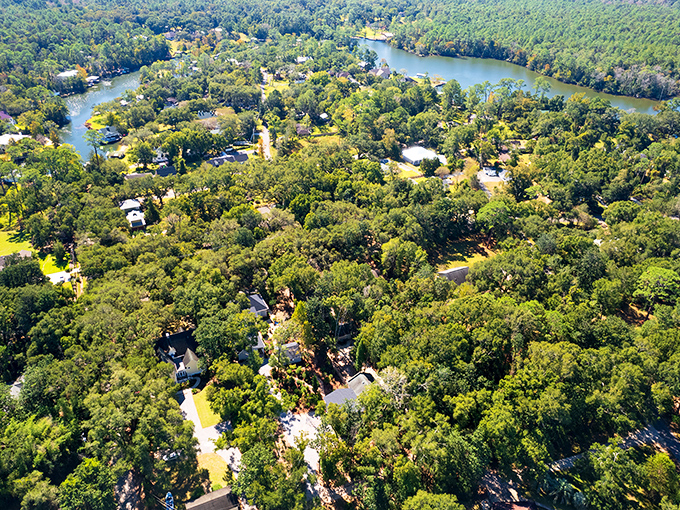 From above, Magnolia Springs looks like nature's own masterpiece painted in every shade of green imaginable.