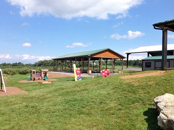 That weathered barn has seen more apple seasons than most of us have seen birthdays &ndash; experience shows.