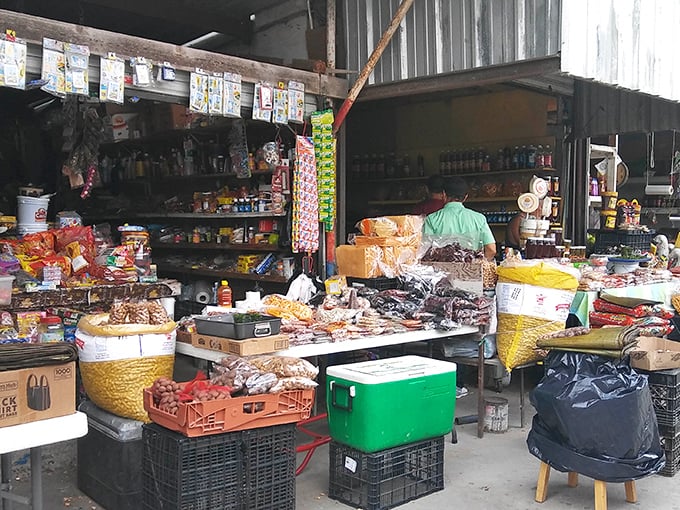 Six Flags meets swap meet! Amusement park rides tower in the background while vendors set up shop in the foreground.