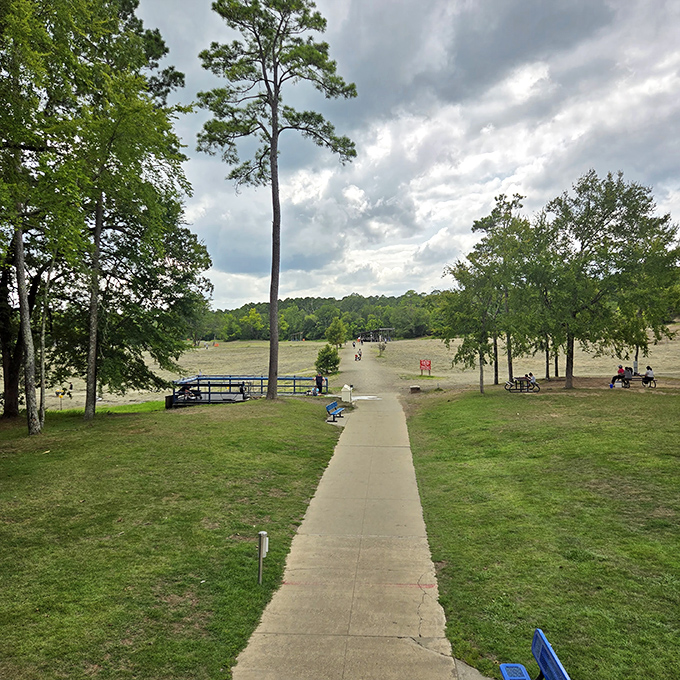 The peaceful countryside surrounding Murfreesboro offers rolling hills, green pastures, and the occasional grazing elk. Nature at its finest!