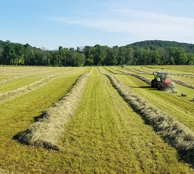 Fresh-cut hay fields create nature's own geometric art, proving farmers are artists in their own right.