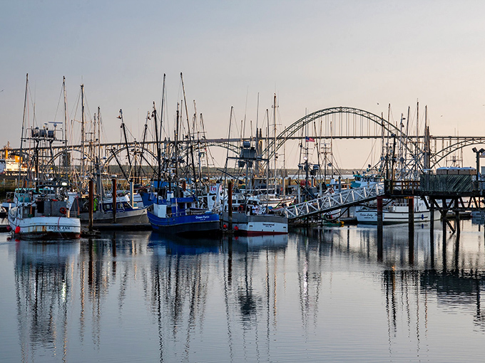 Newport's working waterfront buzzes with authentic maritime energy while sea lions claim the best dock spots.