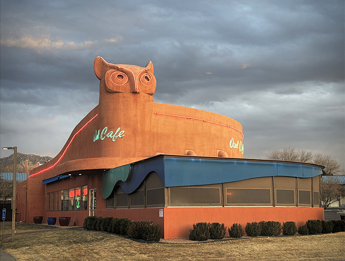 The Owl Caf&eacute;'s architectural wonder&mdash;where Dr. Seuss meets short-order cooking in the most delicious way possible.
