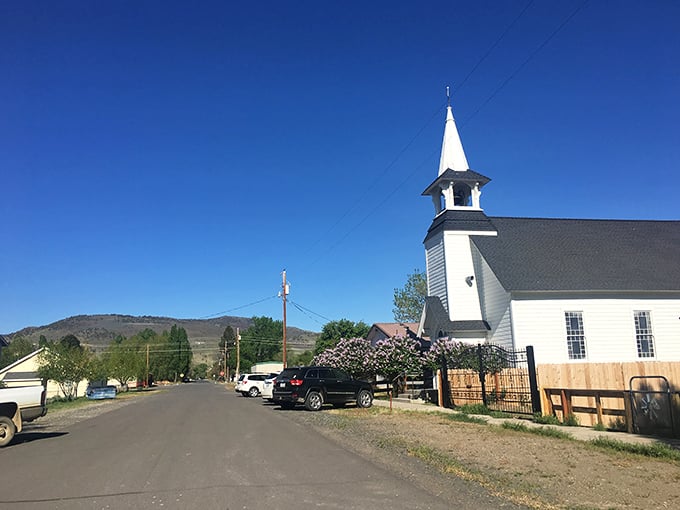 Paisley's famous mosquito festival banner proves every town needs something to celebrate, even bugs.