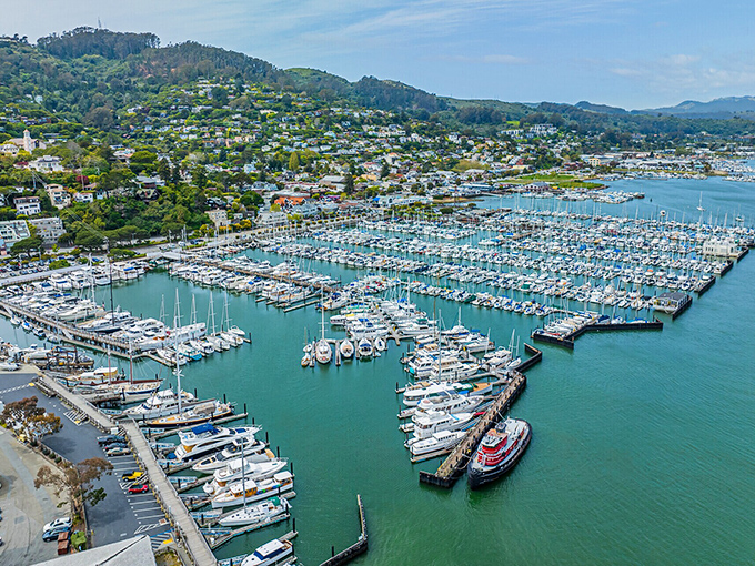 Sausalito's marina sparkles with more boats than a yacht catalog. A floating neighborhood where parking is never an issue.