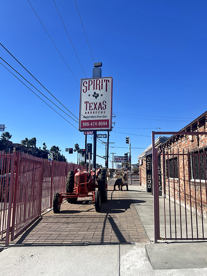 Spirit of Texas announces itself with a no-nonsense sign and vintage tractor. This is where serious BBQ pilgrims come to worship at the altar of smoke.
