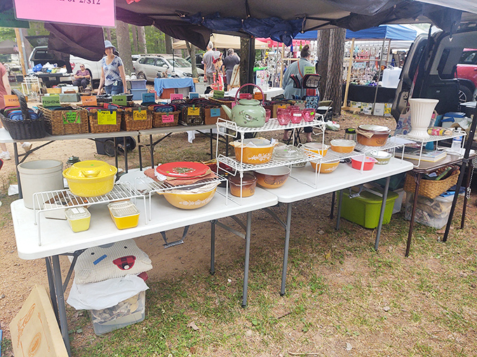 Northwoods charm meets bargain-hunter's paradise under a canopy of Wisconsin pines and endless blue sky.