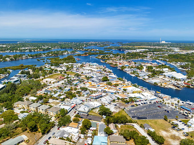 Tarpon Springs' waterfront buzzes with boats and Greek culture &ndash; like the Mediterranean decided to vacation in Florida permanently.