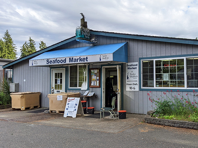 Taylor Shellfish Farms combines education with delicious dining, where you can learn about sustainable seafood while enjoying it.