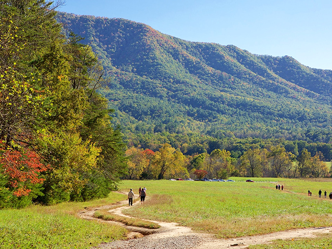 Townsend's mountain backdrop makes every morning coffee taste like a million-dollar view.