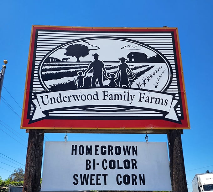 Strawberry fields forever! Underwood's Somis location offers perfectly aligned rows that disappear into the horizon.