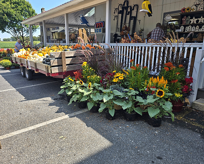 Fresh flowers, fresh bread, fresh air - sometimes the simple pleasures create the most lasting memories.