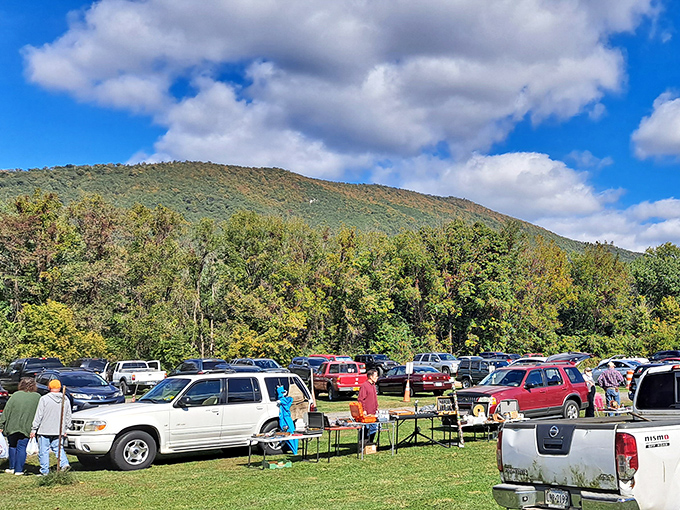 Blue Ridge backdrop and bargain hunting - Buchanan's flea market turns shopping into a scenic adventure.