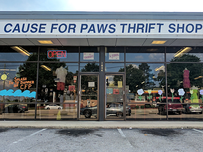 Evening light transforms this storefront into a glowing invitation to thrift. The "OPEN" sign is the most beautiful word in the English language!
