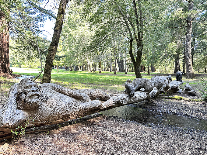This fallen giant now serves as both nature's sculpture and playground. Imagine the stories this ancient redwood could tell!