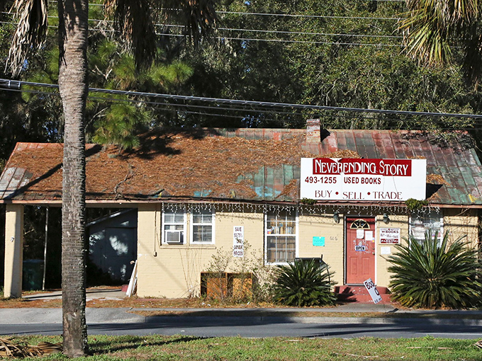 Chiefland's charming bookstore promises literary adventures in this affordable town. "Neverending Story" indeed for book lovers on a budget.