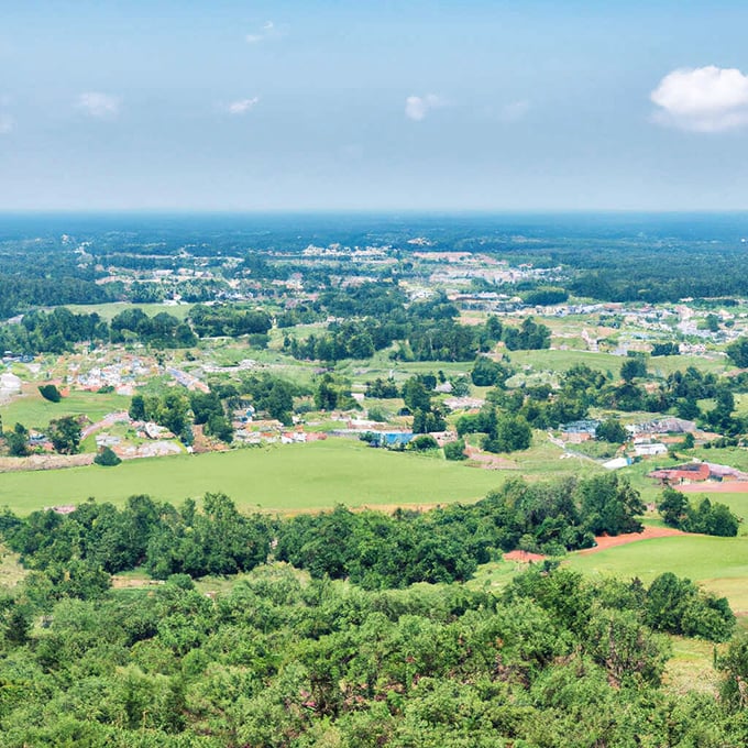 This aerial view of Coosada reveals a community nestled in nature's embrace like a hidden treasure.
