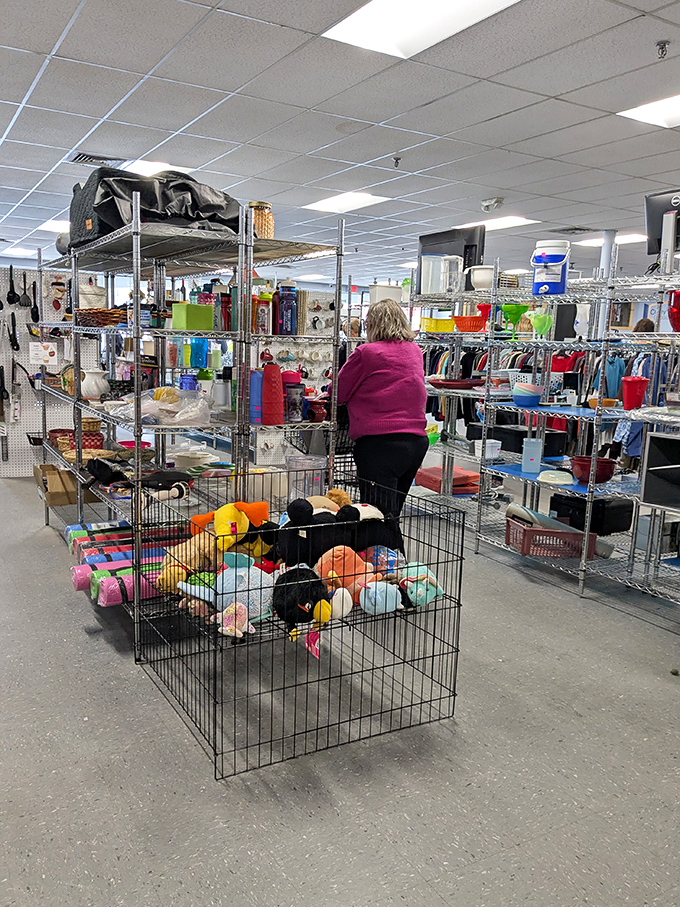Inside, wire shelving and organized displays create a shopping experience that's both efficient and surprisingly enjoyable.