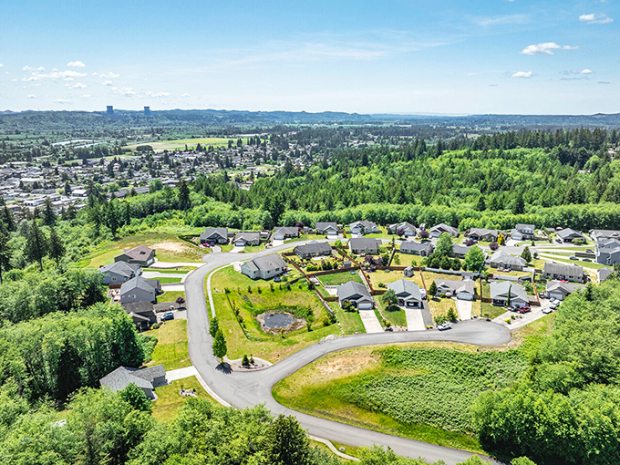 Elma's forest-hugged homes curve along streets designed by nature rather than city planners!