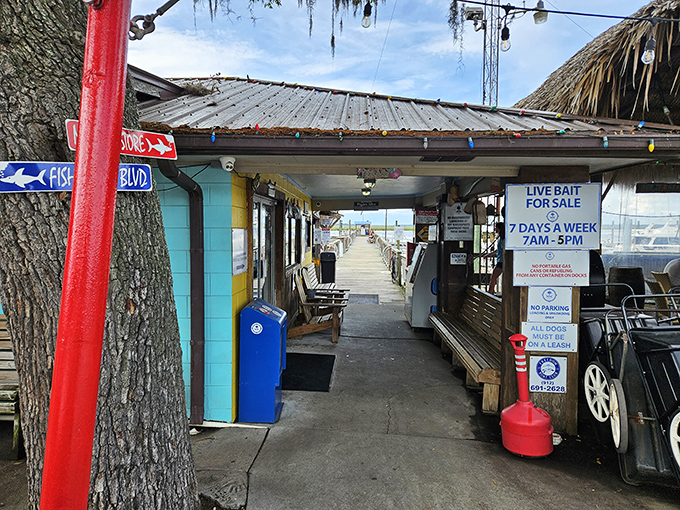 Rustic charm meets fresh catches where every meal feels like discovering a secret fishing village.