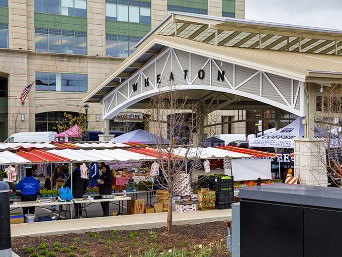 Market day in Wheaton brings vendors and shoppers together under open skies&mdash;commerce with a side of community.