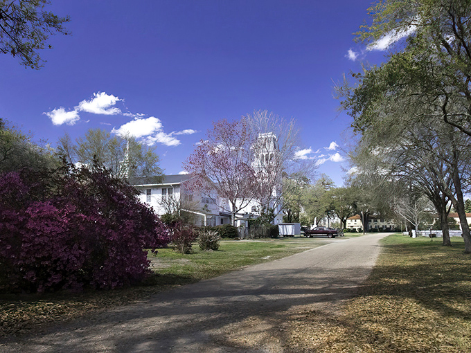 Tree-shaded avenues and historic buildings create an atmosphere of serene beauty that soothes the modern soul.