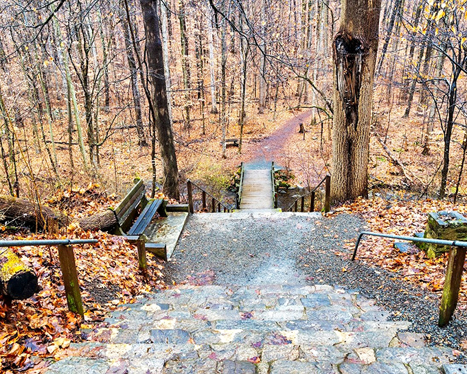 Hacklebarney's stone steps descend into the gorge like a stairway to your own private wilderness sanctuary.